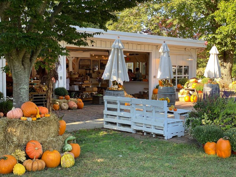 Amber Waves Farm – Clean Food Cafe